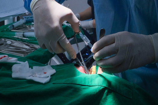 타이거치과 ㅣ 수원치과 ㅣ 광교치과 ㅣ 수원임플란트 ㅣ 수원치과추천